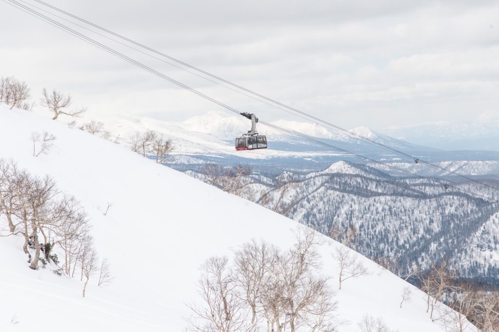 Best Things to Do in Furano | Destination Guide