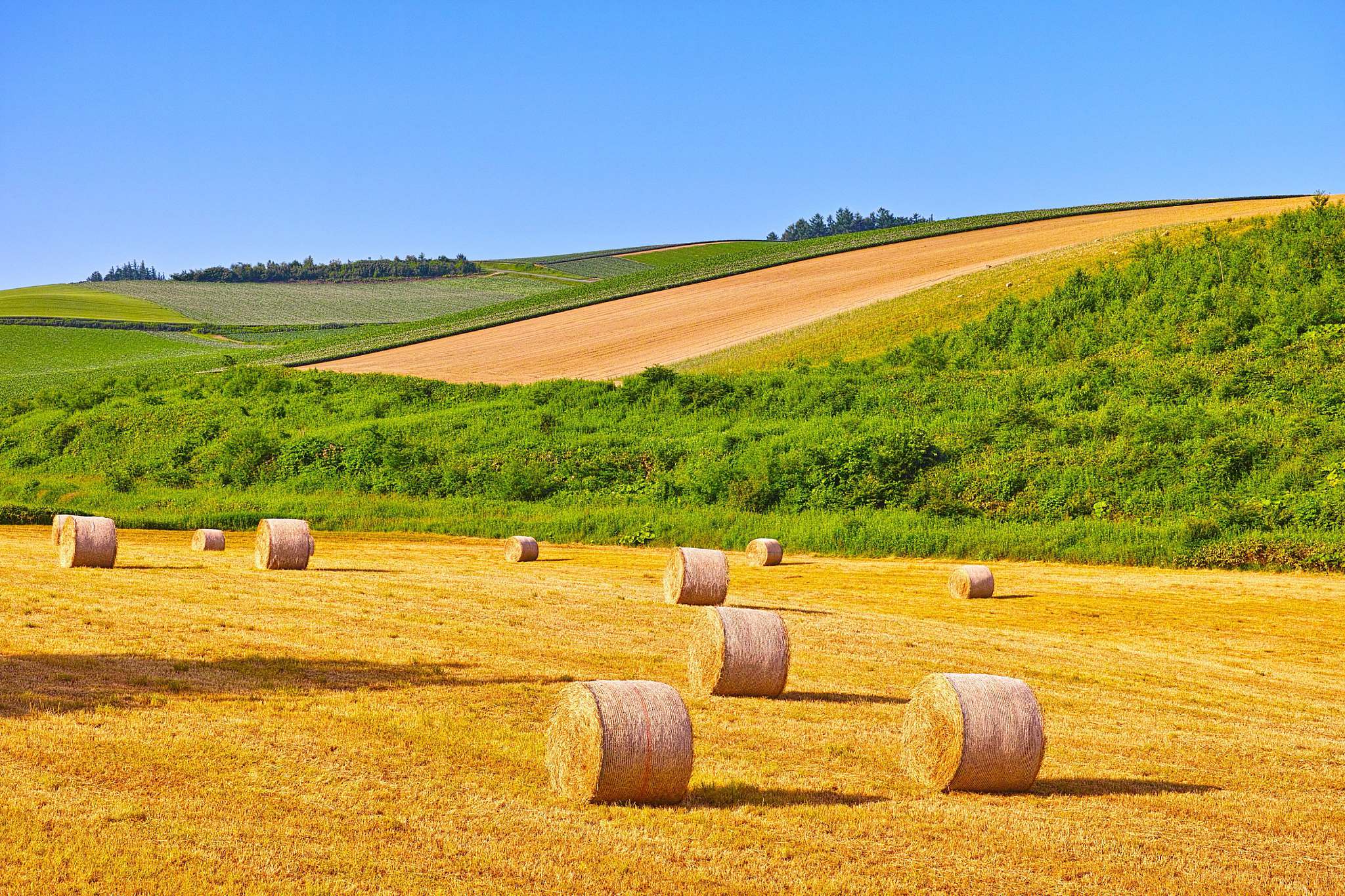 Furano Travel Guide: Snow Reports & Weather Forecasts, Dining & Bars…