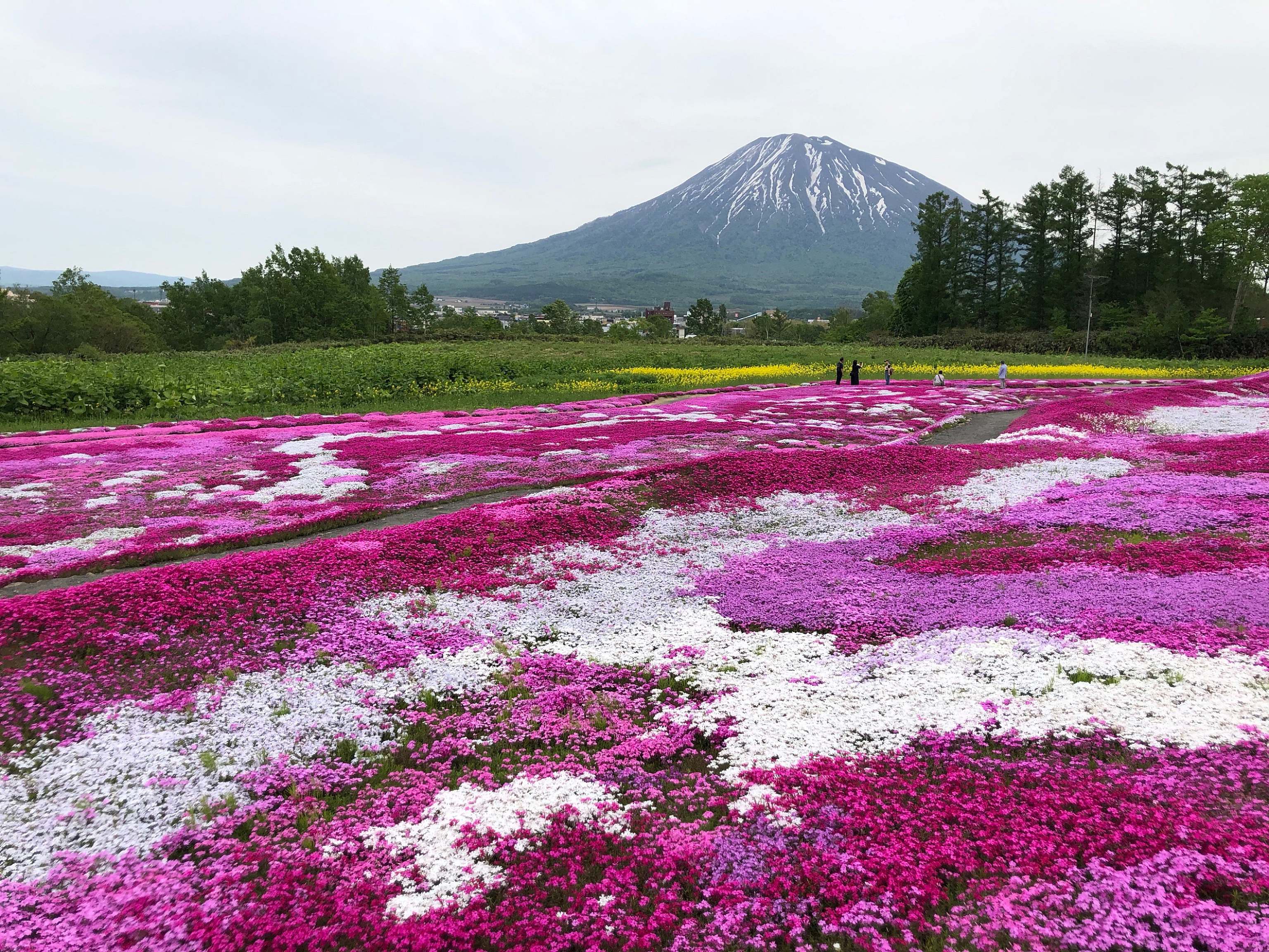 Niseko | NISADE: Hokkaido Accommodation