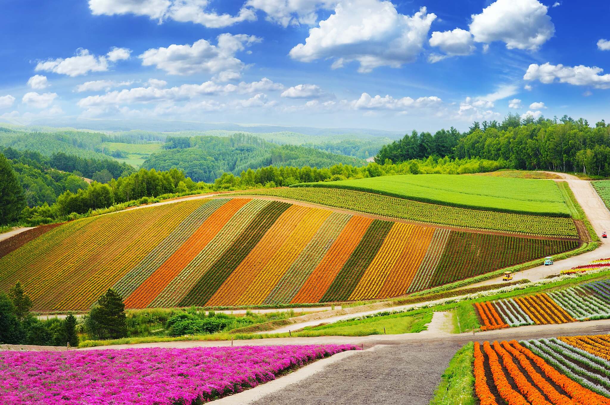 2025 Flower Viewing Calendar for Furano Area