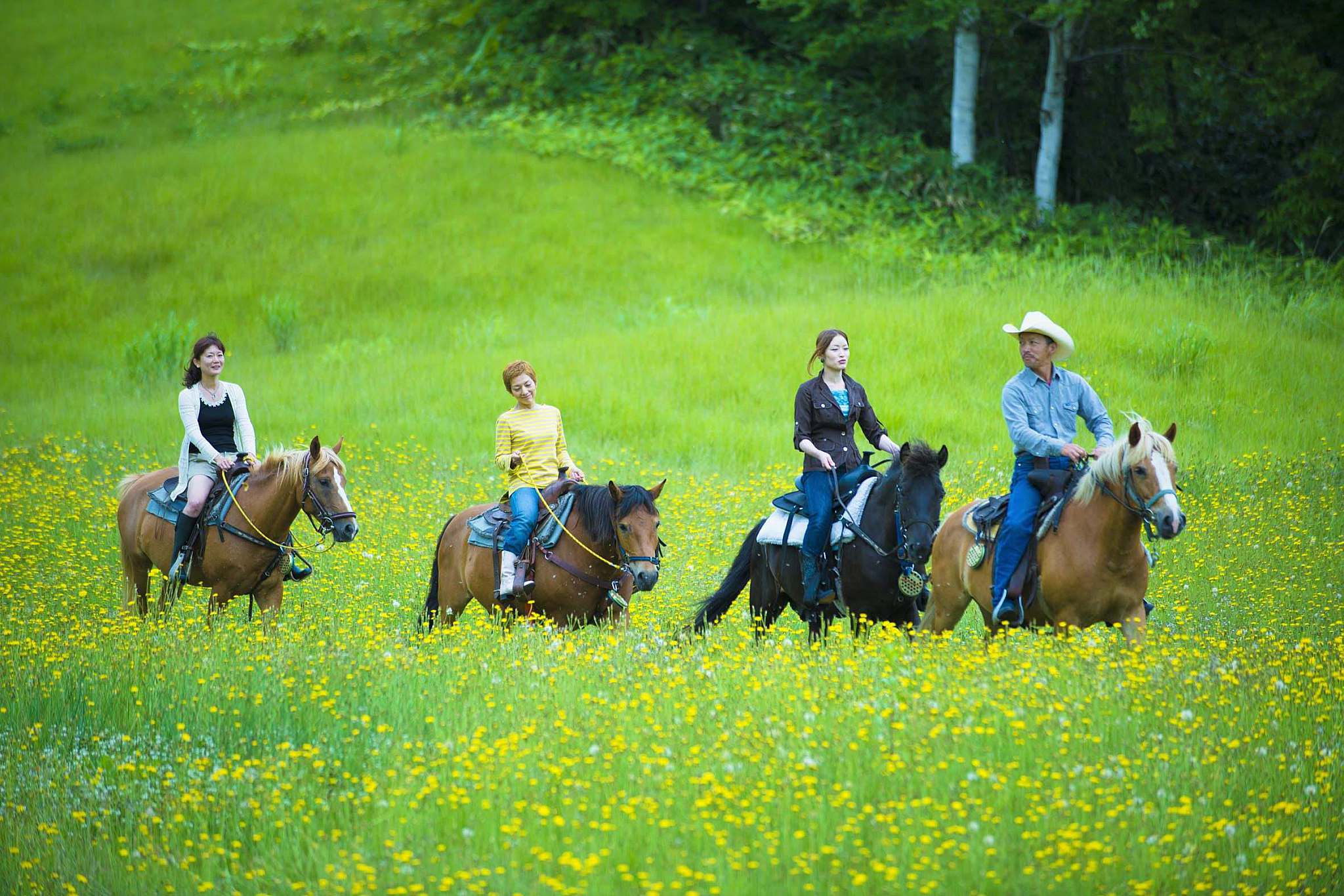 Niseko Hirafu's Top 10 Restaurants for Dinner