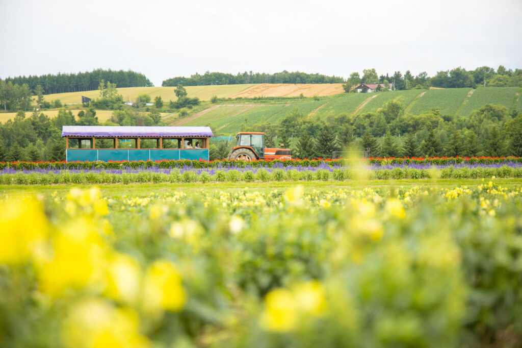 2025 Flower Viewing Calendar for Furano Area