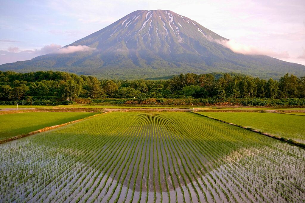 5 Mount Yotei Photo Spots You'll Wish You Had Found Sooner