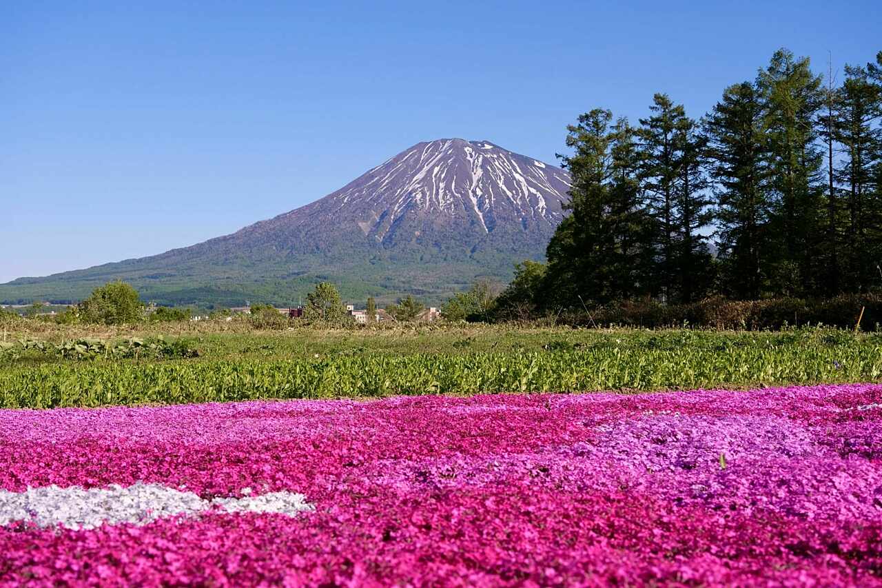 5 Mount Yotei Photo Spots You'll Wish You Had Found Sooner