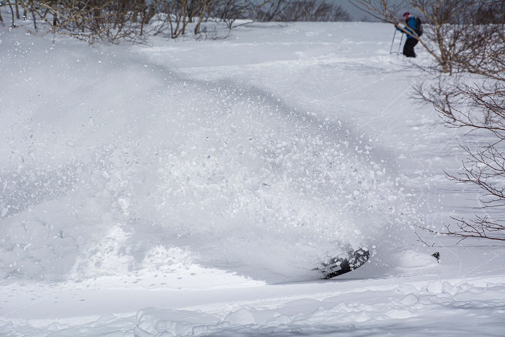 The Expert Niseko Mountain Guide: The Backcountry Gates