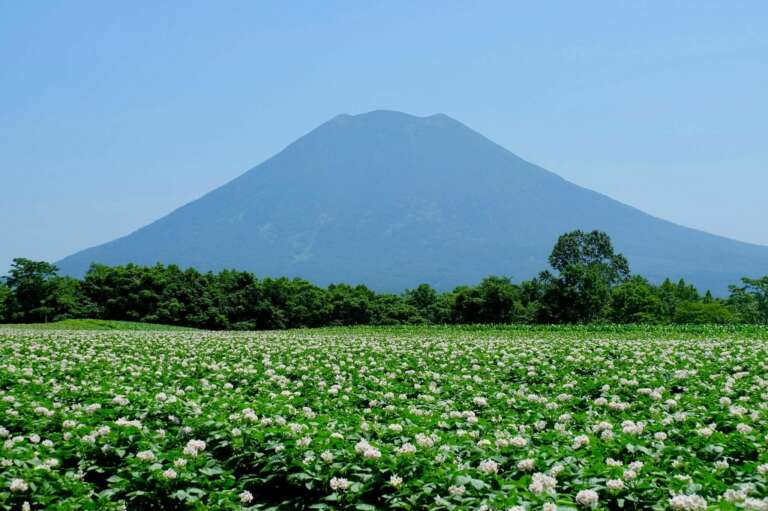5 Mount Yotei Photo Spots You'll Wish You Had Found Sooner