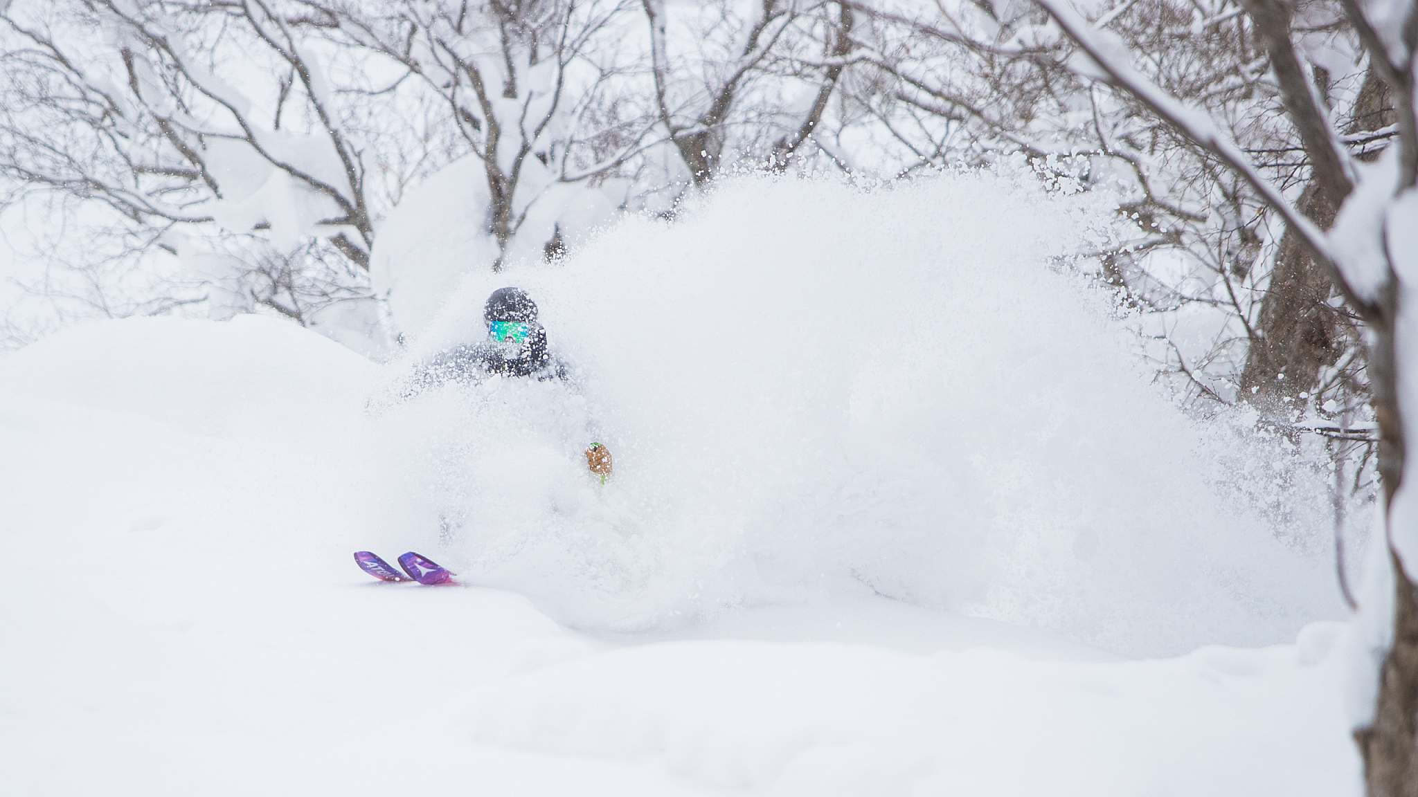 Heard of Hokkaido's "Powder Triangle"?